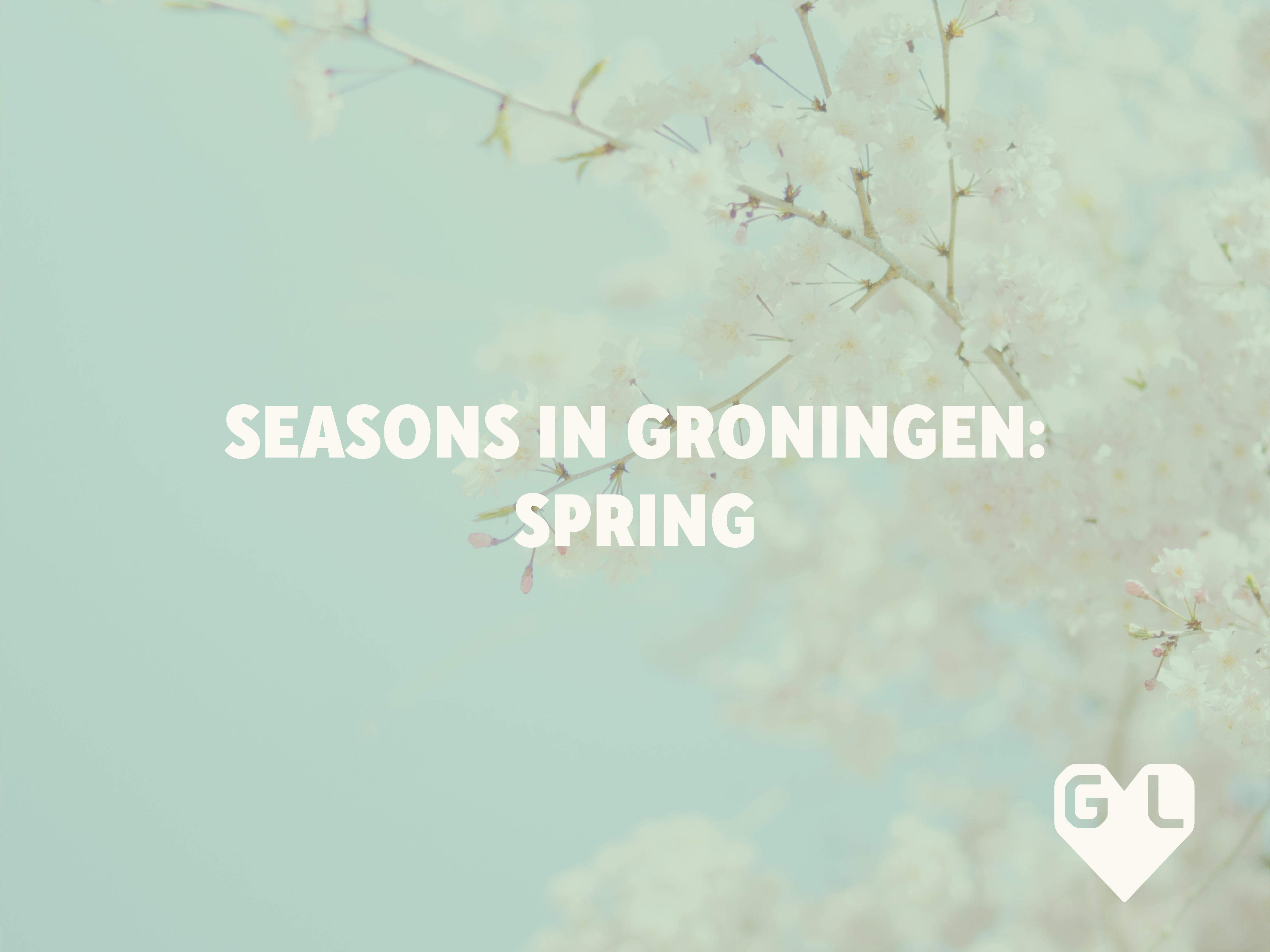Seasons in Groningen: Spring - GroningenLife